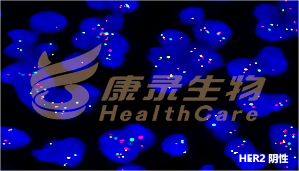 人类HER2基因扩增检测试剂盒（荧光原位杂交法）-武汉康录生物技术股份有限公司