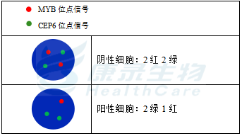 MYB（6q23）基因探针试剂（原位杂交法）-武汉康录生物技术股份有限公司