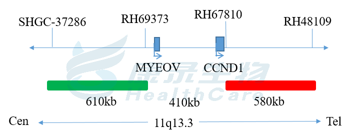 CCND1(BCL1)基因断裂探针试剂（原位杂交法）-武汉康录生物技术股份有限公司