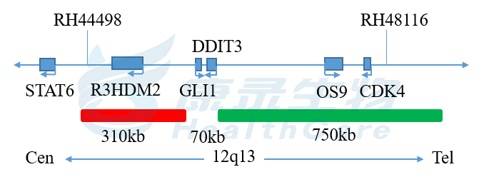 DDIT3（12q13）基因重排探针试剂（原位杂交法）-武汉康录生物技术股份有限公司