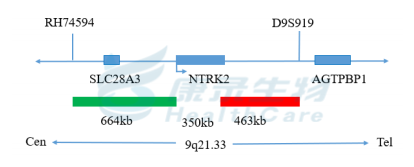 NTRK2(9q21)基因断裂探针试剂（荧光原位杂交法）-武汉康录生物技术股份有限公司