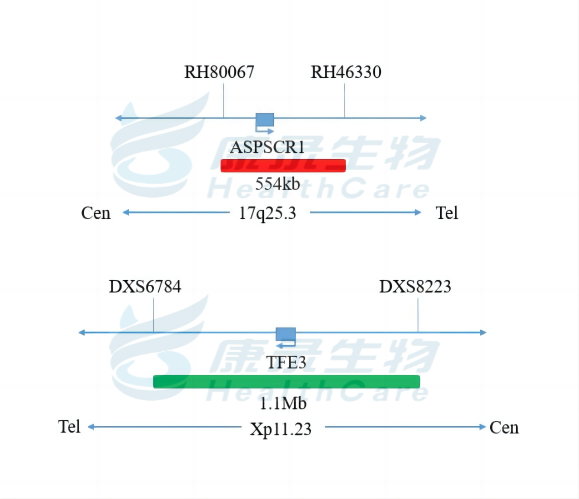 ASPSCR1/TFE3融合基因探针试剂（原位杂交法）-武汉康录生物技术股份有限公司