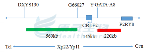 ABL1/ABL2/PDGFRB/CRLF2/JAK2基因断裂探针试剂（荧光原位杂交法）-CRLF2断裂-武汉康录生物技术股份有限公司