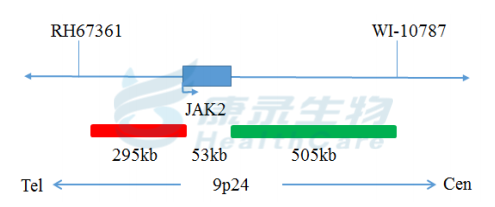 ABL1/ABL2/PDGFRB/CRLF2/JAK2基因断裂探针试剂（荧光原位杂交法）-JAK2断裂-武汉康录生物技术股份有限公司