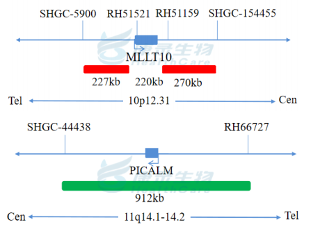 PICALM/MLLT10融合基因探针试剂（原位杂交法）-武汉康录生物技术股份有限公司