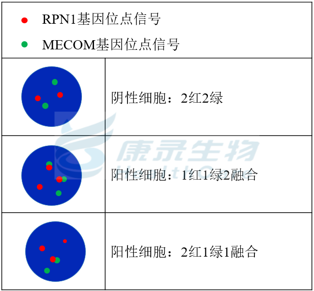 GATA2,MECOM(RPN1/MECOM)基因异常探针试剂（荧光原位杂交法）-武汉康录生物技术股份有限公司