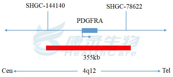 PDGFRA（4q12）探针试剂（荧光原位杂交法）-武汉康录生物技术股份有限公司