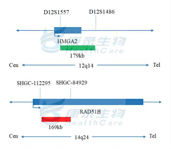 HMGA2/RAD51B融合基因探针试剂（荧光原位杂交法-武汉康录生物技术股份有限公司