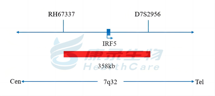 7q32缺失探针试剂（荧光原位杂交法）-武汉康录生物技术股份有限公司