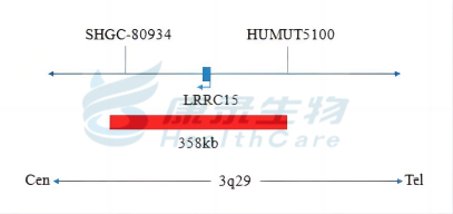 LRRC15基因探针试剂（荧光原位杂交法）-武汉康录生物技术股份有限公司